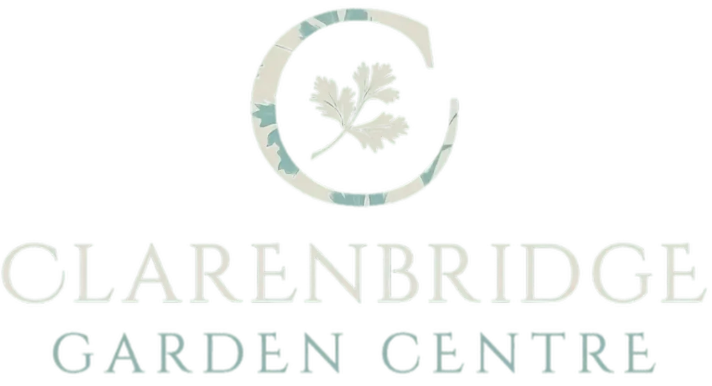 Native Irish Plants - Clarenbridge Garden Centre